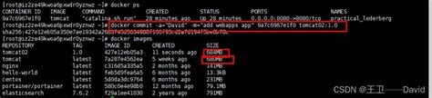 Docker从入门到精通——commit提交一个自己的镜像 阿里云开发者社区