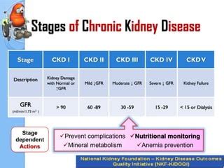 Nutrition In Renal Patient Pdf