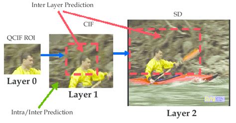 The Example Of The Roi Dynamic Adjustment And Scalability E G For Download Scientific