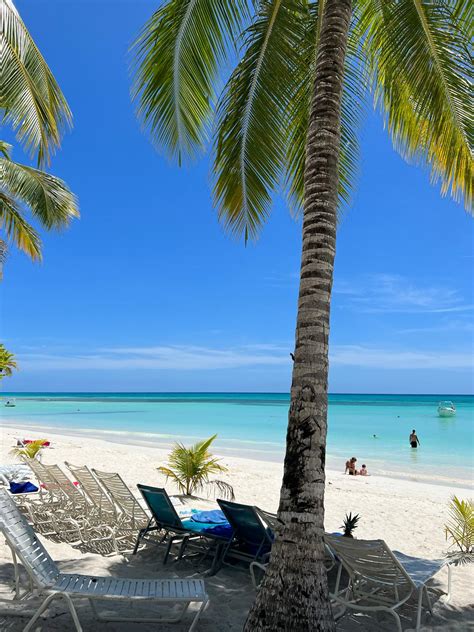 경치 좋은 전망 경치가 좋은 고요한 도미니카 공화국 따뜻한 날씨 라 알타그라시아 리조트 맑은 날 맑은 하늘 모래사장 목가적인 바다 바다 경치 북미