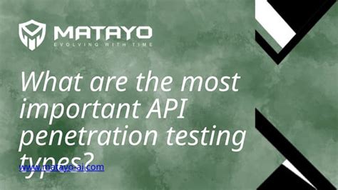 What Are The Most Important Api Penetration Testing Typespptx