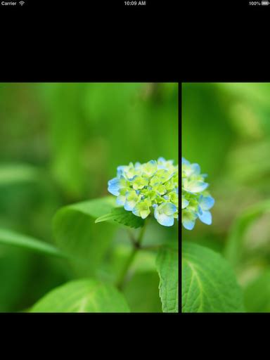 Adding Scrollview To A Bottomview Of Horizontal Split View In Cocoa Stack Overflow