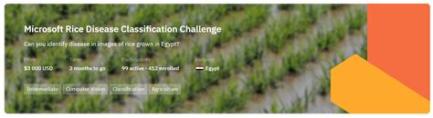 GitHub Agoor Rice Disease Classification Challenge This Notebook Provides A Simple