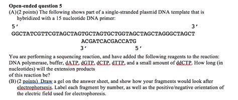 Solved Open Ended Question 5 A 2 Points The Following
