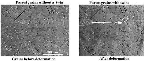 Deformation Twinning In Metals And Alloys Nature Portfolio