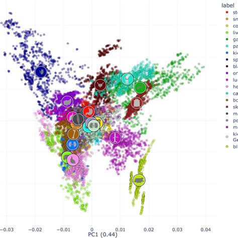 Visualization Of Spectral Similarity With Umap As A Non Linear Download Scientific Diagram