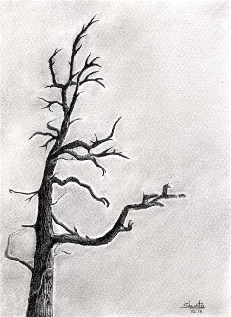 Winter Drawings Tree Drawing Winter Tree Drawing