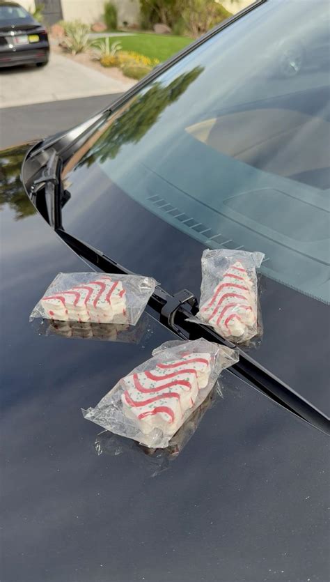 🤣🤣🤣 Chasing Daisy Designs Facebook