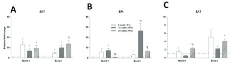 Comparison Of Tissue Insulin Resistance Markers Notch1 Socs3 At