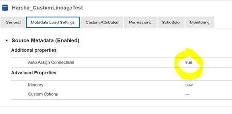 Steps To Create Custom Lineage With Examples