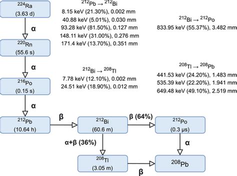 a diffusion‐leakage model coupled with dose point kernels dpk for