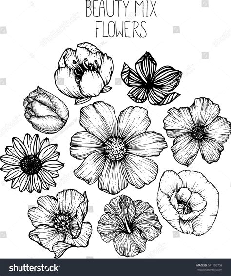 벡터 삽화와 클립 아트를 혼합합니다 벚꽃코스모스양귀비히비스커스튤립해바라기들장미 스톡 벡터로열티 프리 541105708 Shutterstock