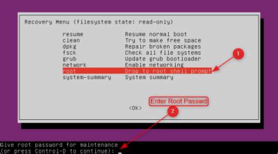 How To Boot Ubuntu Into Recovery Mode Linux Genie