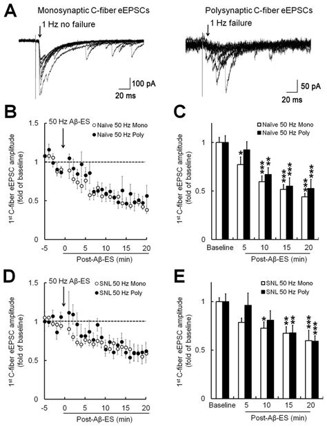 Dorsal Root Stimulation Inhibits Both Monosynaptic And Polysynaptic