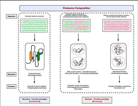 Figure 1 From Intrinsically Disordered Proteins An Overview Semantic