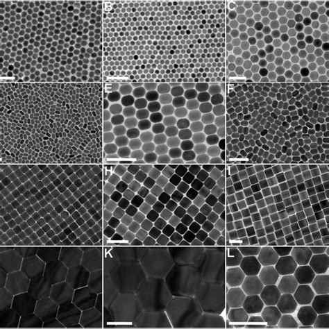 Hexagonal Nanoprism And Nanoplate Superlattices A Sem Image Of A