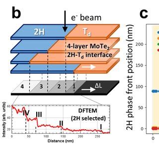 Layer By Layer Phase Transition And Growth Kinetics Measurement A Download Scientific