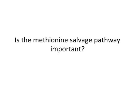 Targeting The Methionine Salvage Pathway As A Metabolic