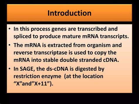 Sage Serial Analysis Of Gene Expression Pptx