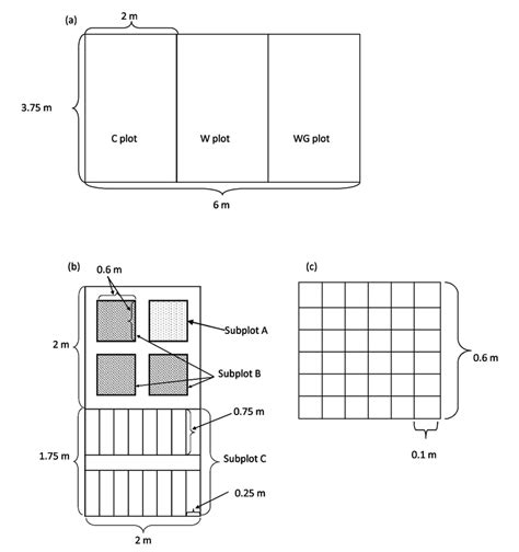 Field Experiment Plot Layout A Description Of Each Plot B And