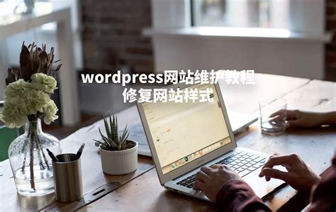 wordpress网站维护教程：修复网站样式 悦然wordpress建站