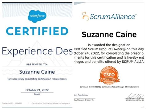 Salesforceadmin Uxdesigner Suzanne Caine 13 Comments