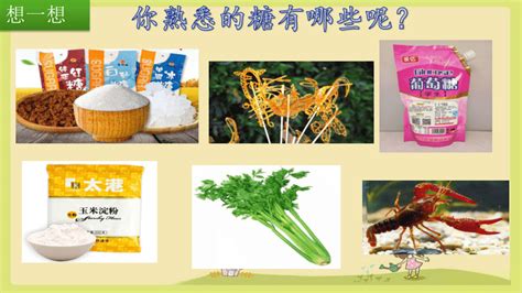 人教 2019 生物必修1课件：2 3细胞中的糖类和脂质 共32张ppt 21世纪教育网 二一教育