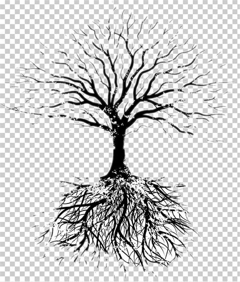 Tree Oak Root Branch PNG Clipart Black And White Branch Drawing Family Family Tree Free