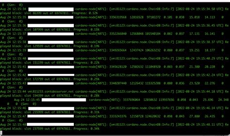 Updating Cardano Nodes To Version 1353 — Fal Consulting