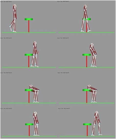 Series Of Human Body Simulation From Time 0 To 7 Sec Download Scientific Diagram
