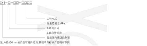 Zyb压力变送控制器 西安江河水电站有限责任公司