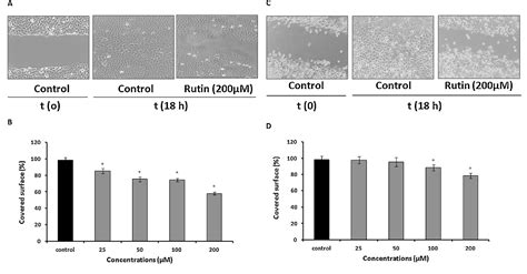 Figure 5 From Rutin Inhibits Proliferation Attenuates Superoxide