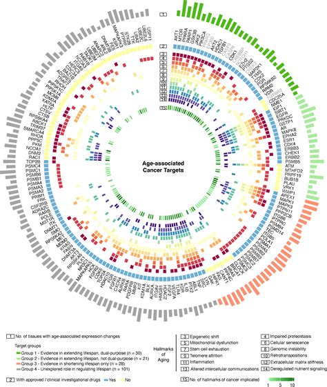 A Comprehensive Ai‐driven Analysis Of Large‐scale Omic Datasets Reveals