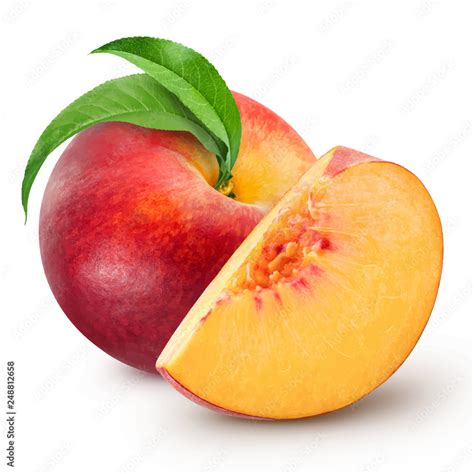 Peach Vector Illustration Stock Vector Adobe Stock