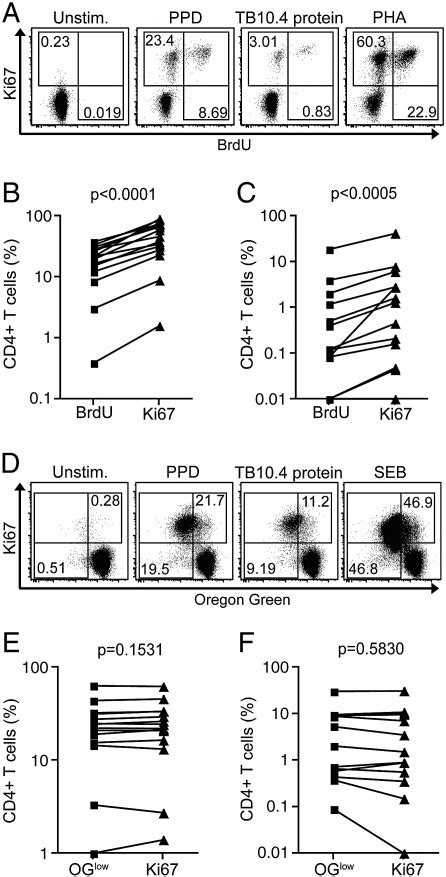 Comparison Of The Ki67 Proliferation Assay With The Brdu And Oregon Download Scientific Diagram
