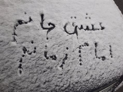 عاطفه‌ یِ پُر عاطفه🇮🇷 Atefehrbn1381 Twitter