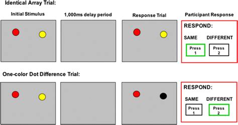 Example Of Visual Working Memory Task 2 Dot Condition Task Adapted