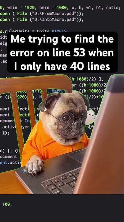 When You Try To Debug An Issue And Cant Find The Error