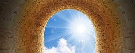 ТРЕЗВЕНИЕ медико просветительский центр Православный медико просветительский центр