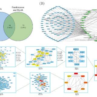 Drug Disease Target Network Construction And Core Target Screening A Download Scientific