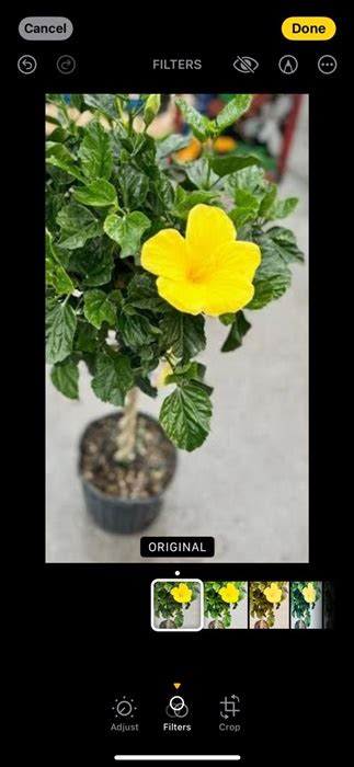 How To Use Quick Crop Feature In Photos App On IPhone