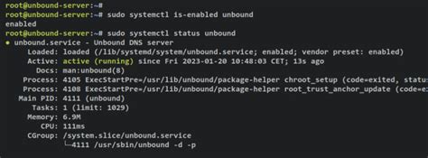 Cómo Configurar Un Resolvedor De Dns Local Con Unbound En Ubuntu 2204 Howtoforge