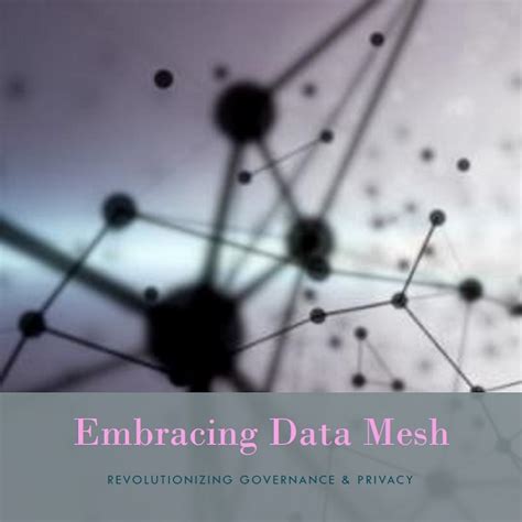 Data Mesh A New Paradigm For Data Governance Quality And Privacy