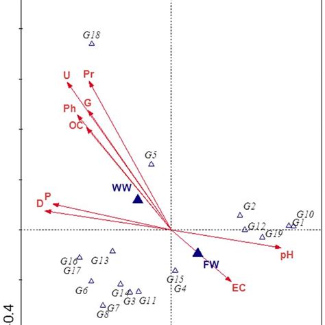 Numbers Above The Branches Indicate The Bootstrap Values Above 80 Download Scientific