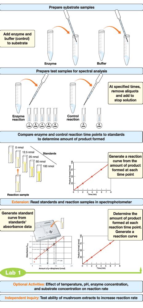 Biofuel Enzyme Kit Life Science Education Bio Rad