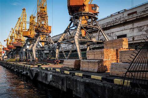 Shipping Dry Containers In Complete Confidence Pavan Freight Forwarder