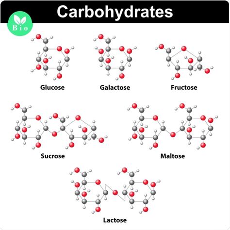 Carbohydrates Structure