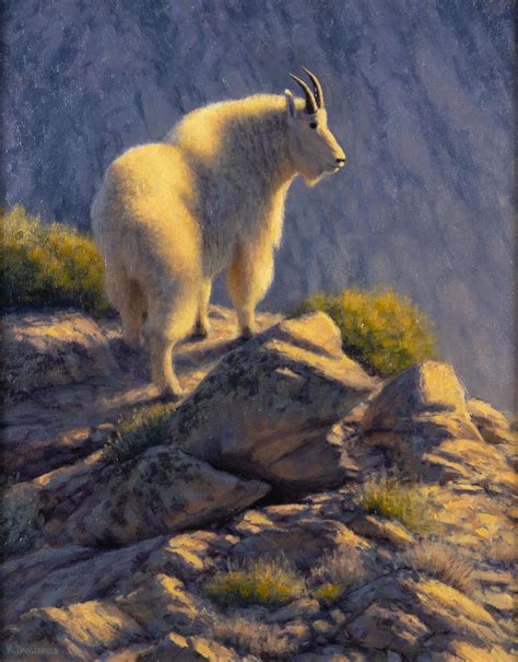 Lot Kelly Dangerfield B1980 Canyon Refuge