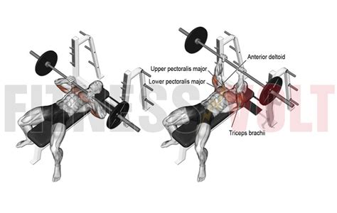 Close Grip Floor Press Dumbbell