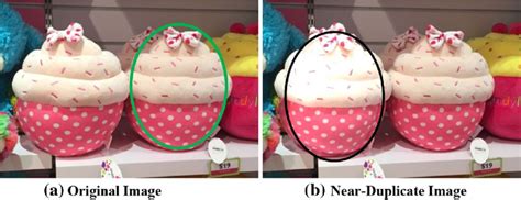 Example Of Near Duplicate Image Visually Similar Download Scientific Diagram